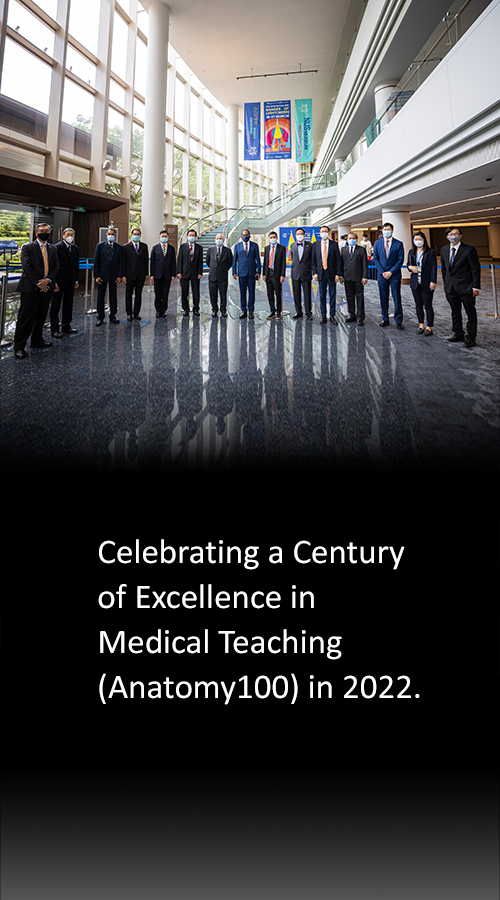 Department of Anatomy, NUS