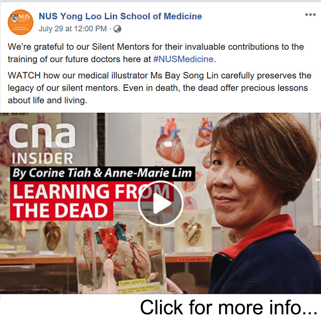 Department of Anatomy, NUS