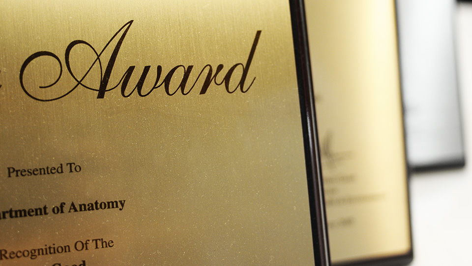 Department of Anatomy, NUS