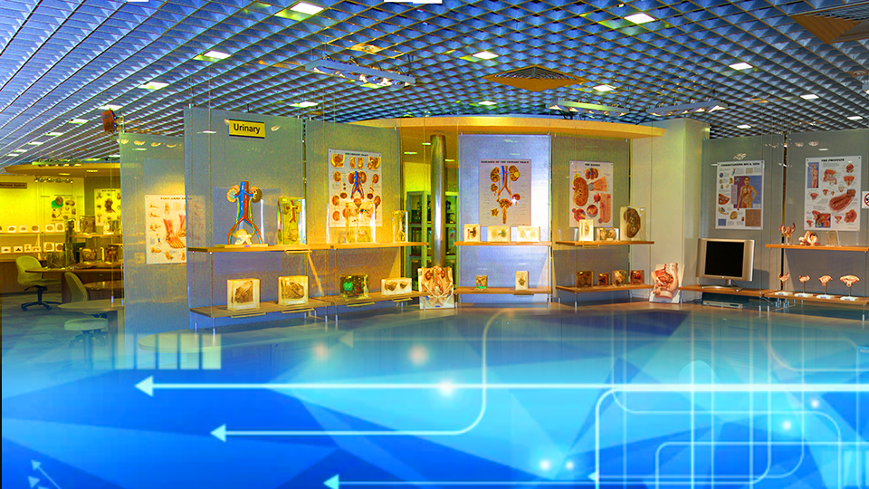 Department of Anatomy, NUS