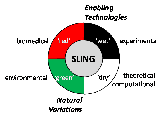 Markus R Wenk - Department of Biochemistry – School of Medicine ...