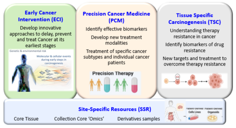 Cancer - Department of Biochemistry – School of Medicine, National ...