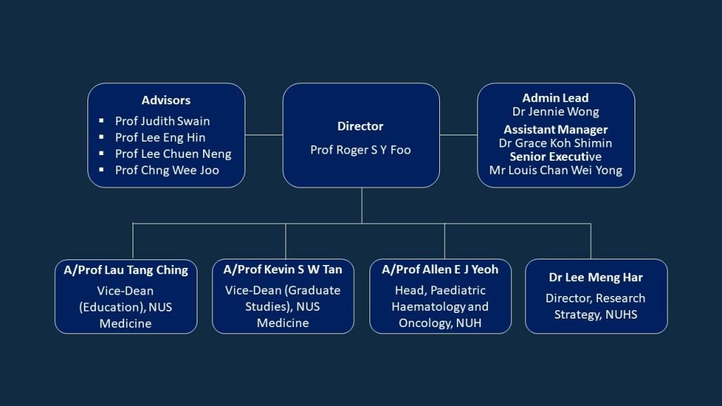 Organisation Chart - NUHS CS Academy
