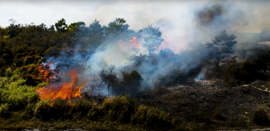 The Physiological Society: A global perspective on the effects of heat ...