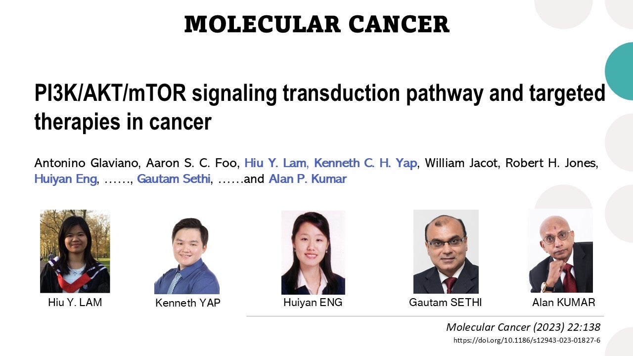 PI3K/AKT/mTOR signaling transduction pathway and targeted therapies in cancer - Pharmacology