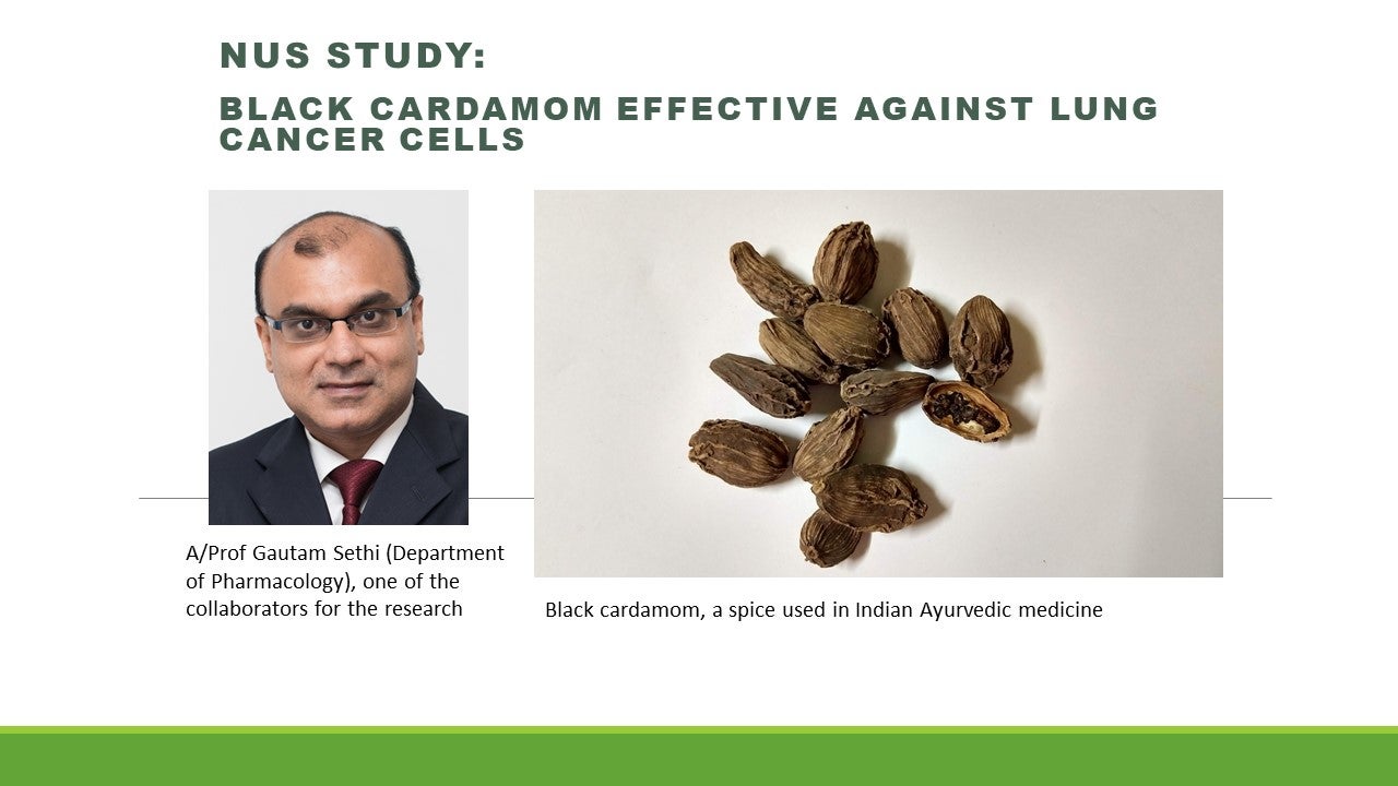 Cardamom For Breast Cancer at Katrina Bates blog