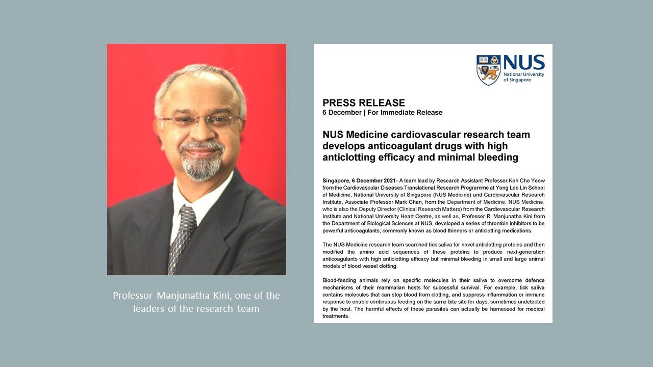 NUS Medicine cardiovascular research team develops anticoagulant drugs ...