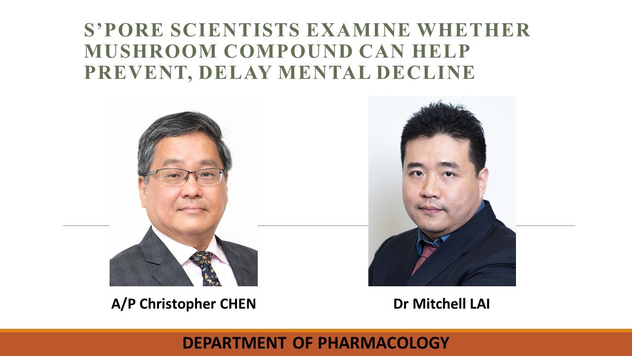 Singapore scientists examine whether mushroom compound can help prevent ...