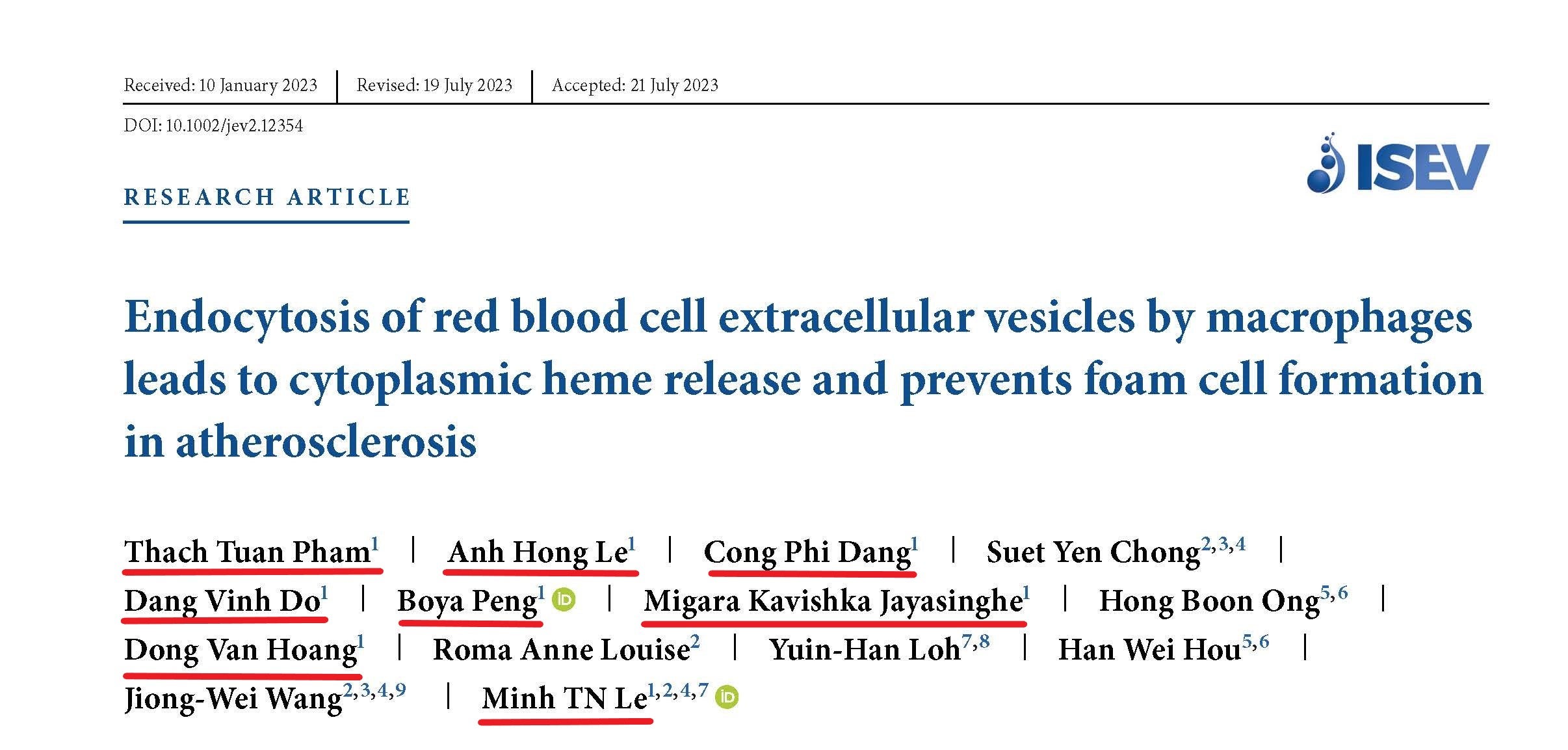 Endocytosis of red blood cell extracellular vesicles by macrophages leads to cytoplasmic heme ...