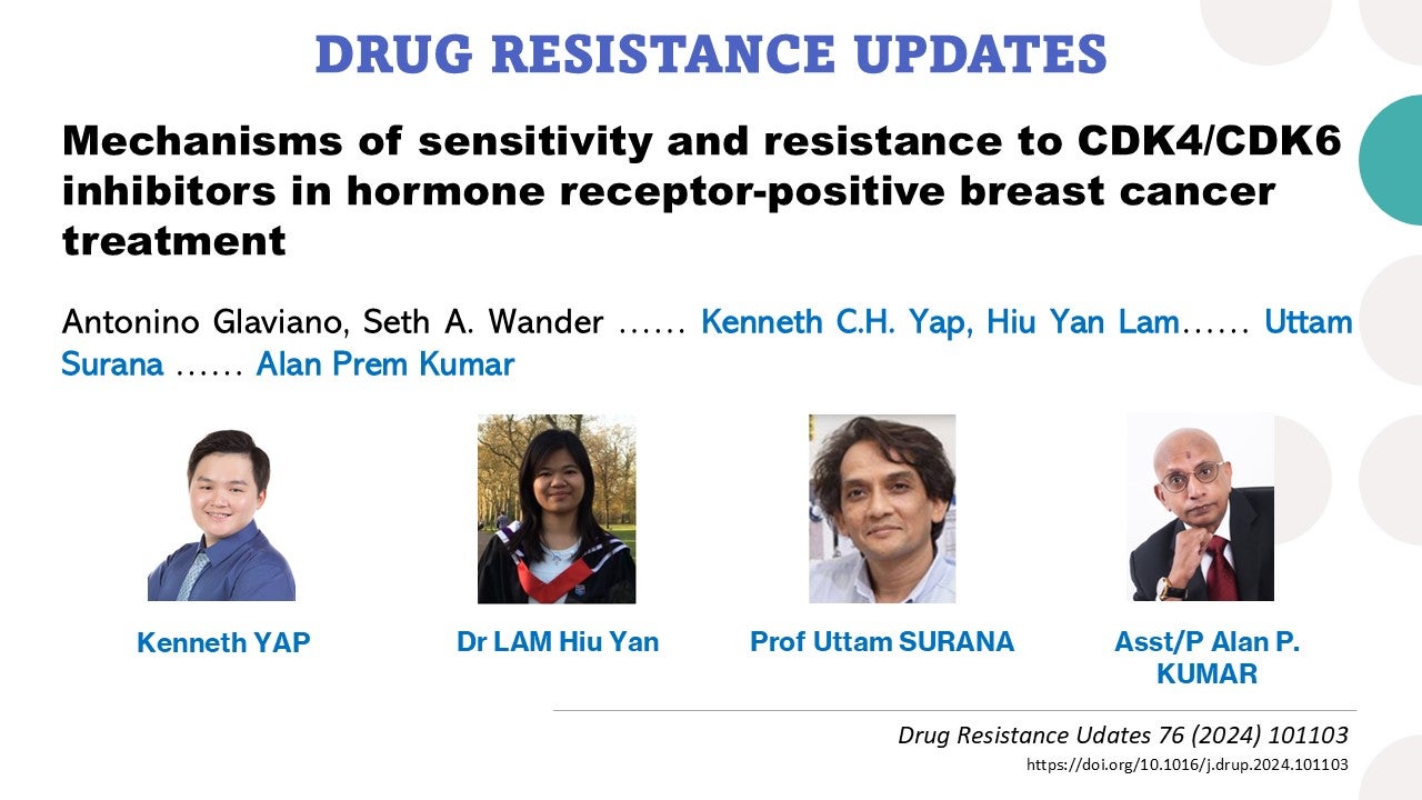 Mechanisms of sensitivity and resistance to CDK4/CDK6 inhibitors in hormone receptor-positive ...