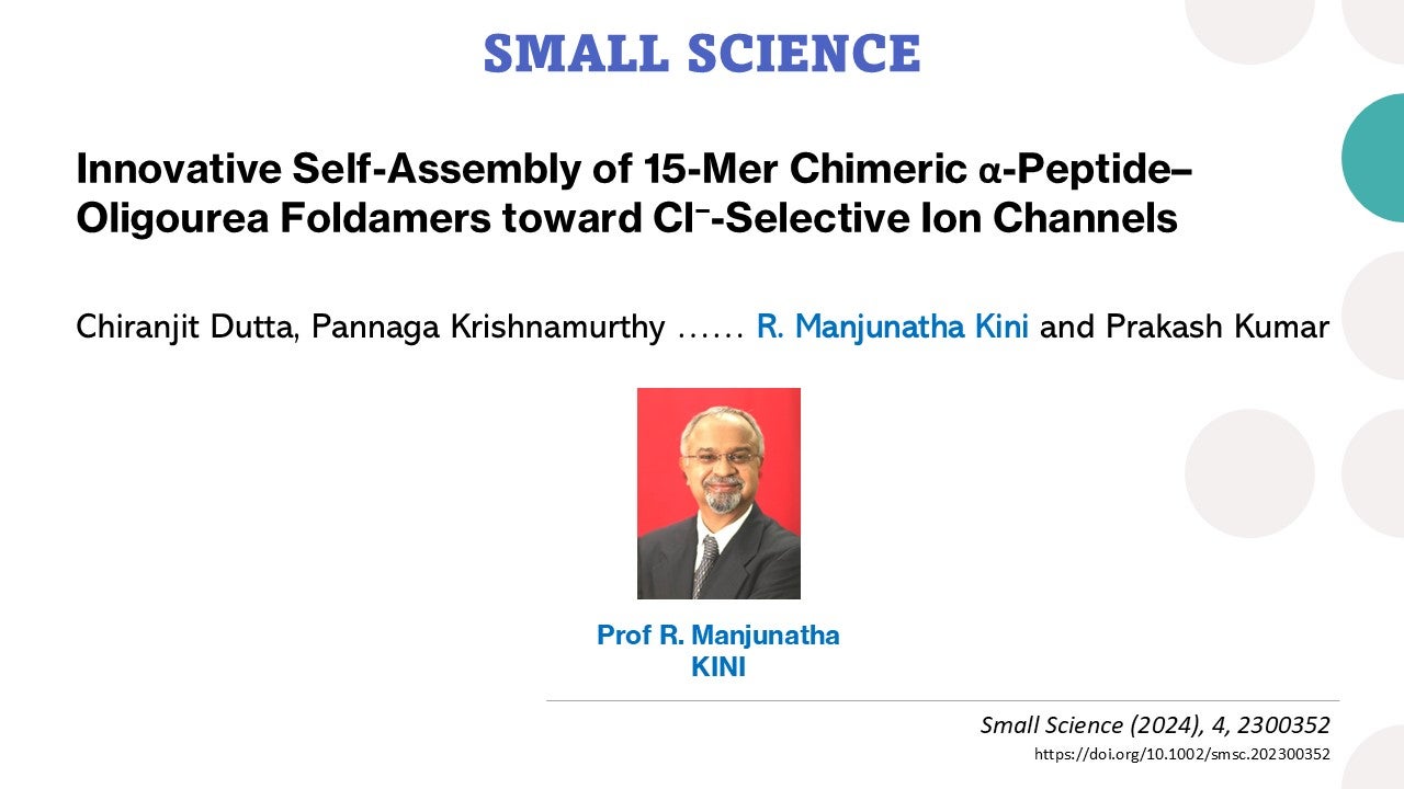 Innovative Self-Assembly of 15-Mer Chimeric α-Peptide–Oligourea ...
