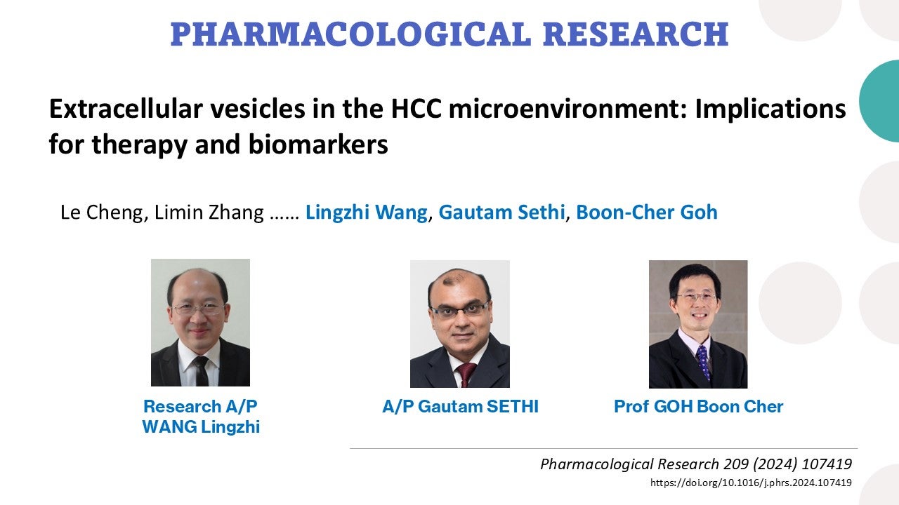 Extracellular vesicles in the HCC microenvironment: Implications for ...