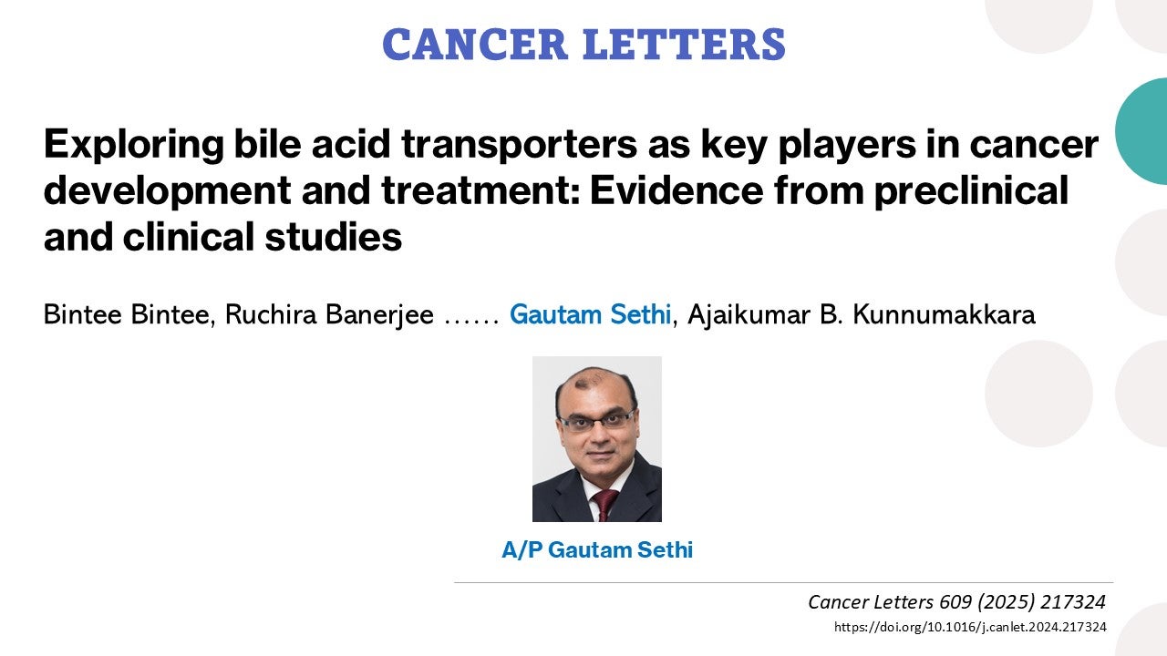 Exploring bile acid transporters as key players in cancer development ...