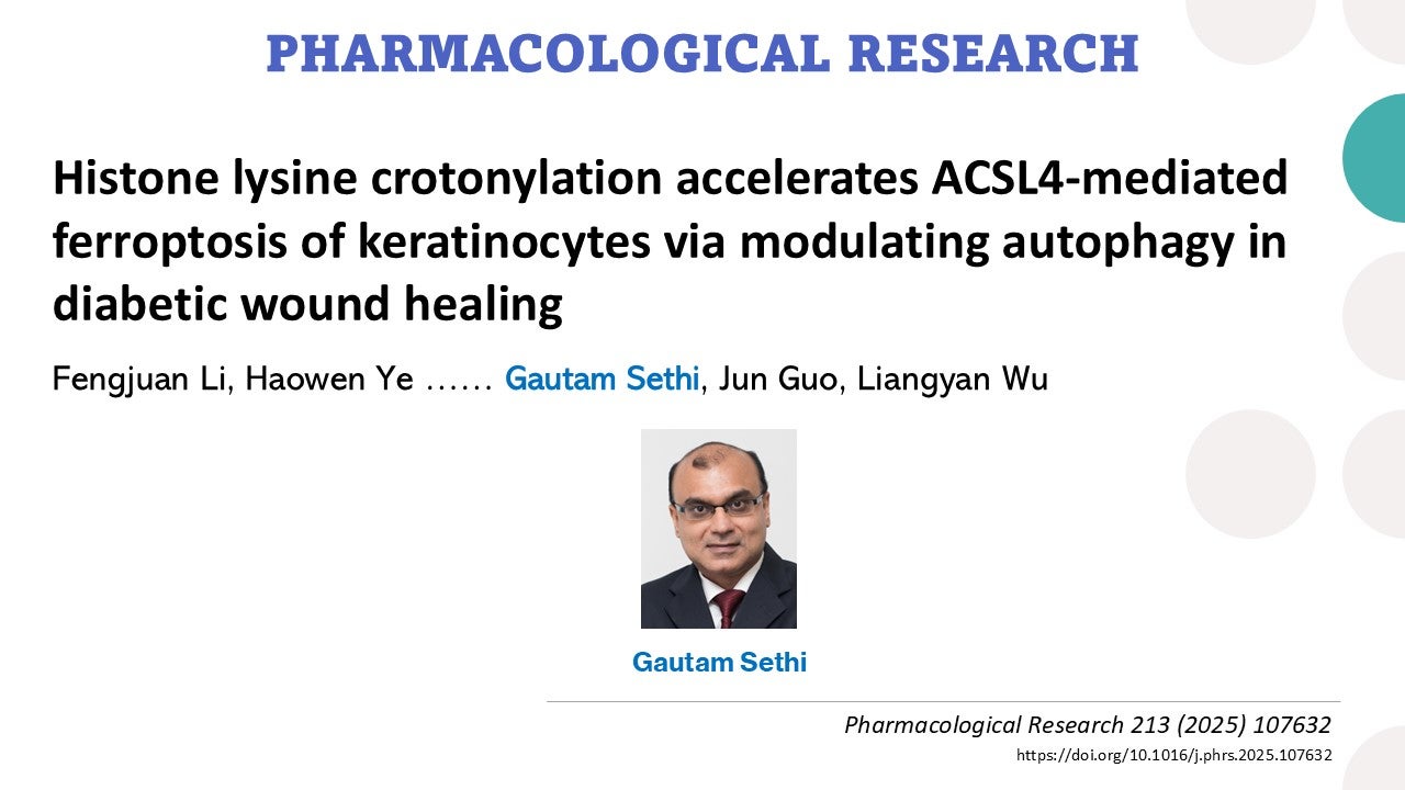 Histone lysine crotonylation accelerates ACSL4-mediated ferroptosis of ...