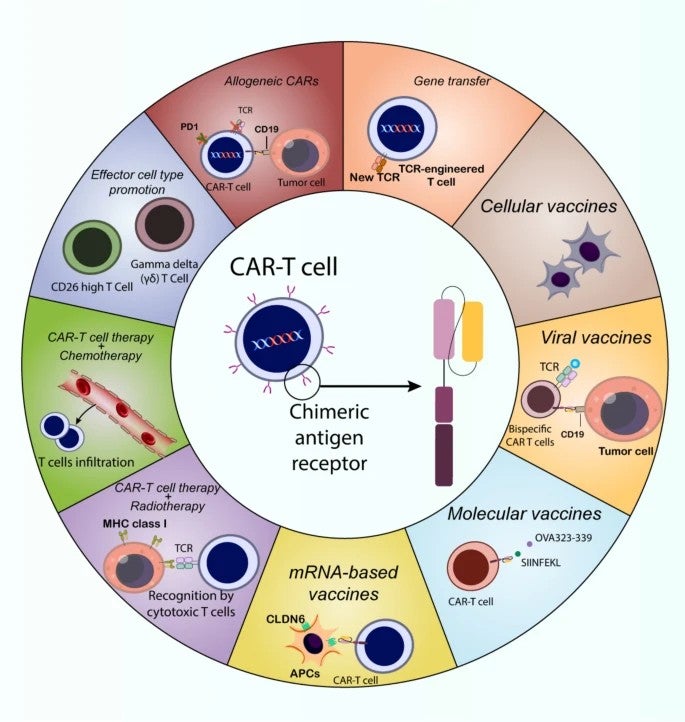 Next-generation immunotherapeutic approaches for blood cancers ...