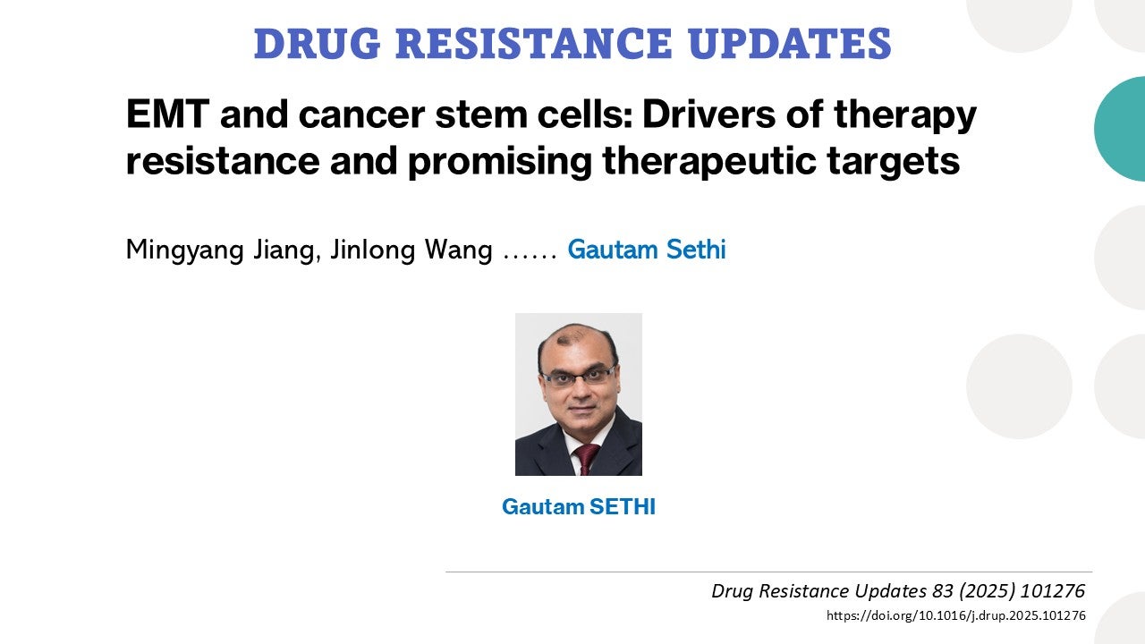 EMT and cancer stem cells: Drivers of therapy resistance and promising ...