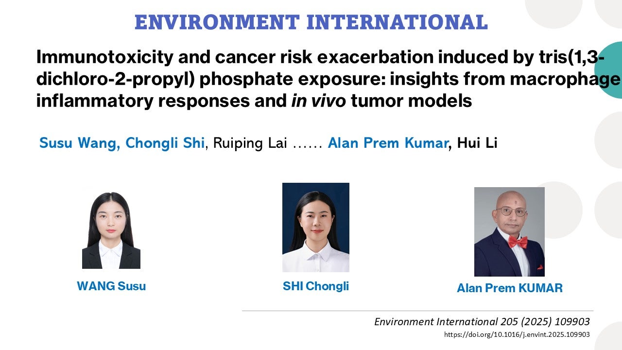Immunotoxicity and cancer risk exacerbation induced by tris(1,3-dichloro-2-propyl) phosphate ...