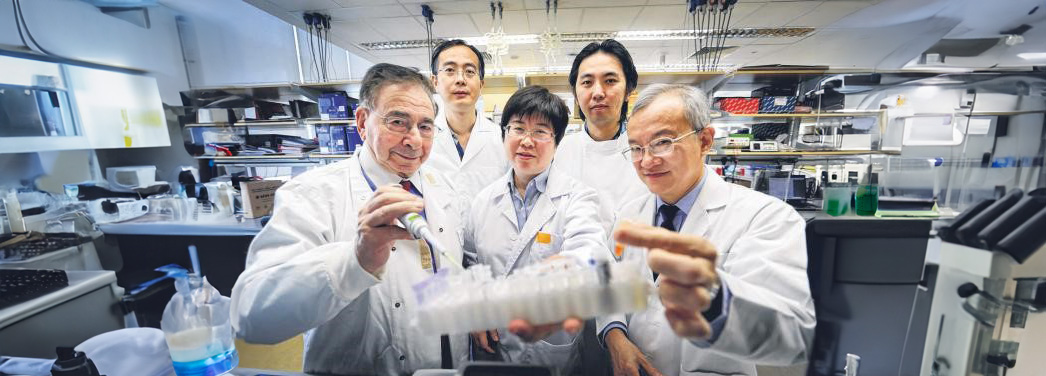 Phoenix Lab - Surgery, NUS Medicine