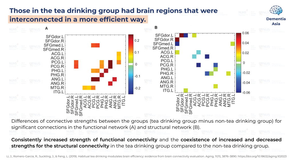 Tea Drinking & Its Benefits on Cognitive Health - Mind Science Centre ...
