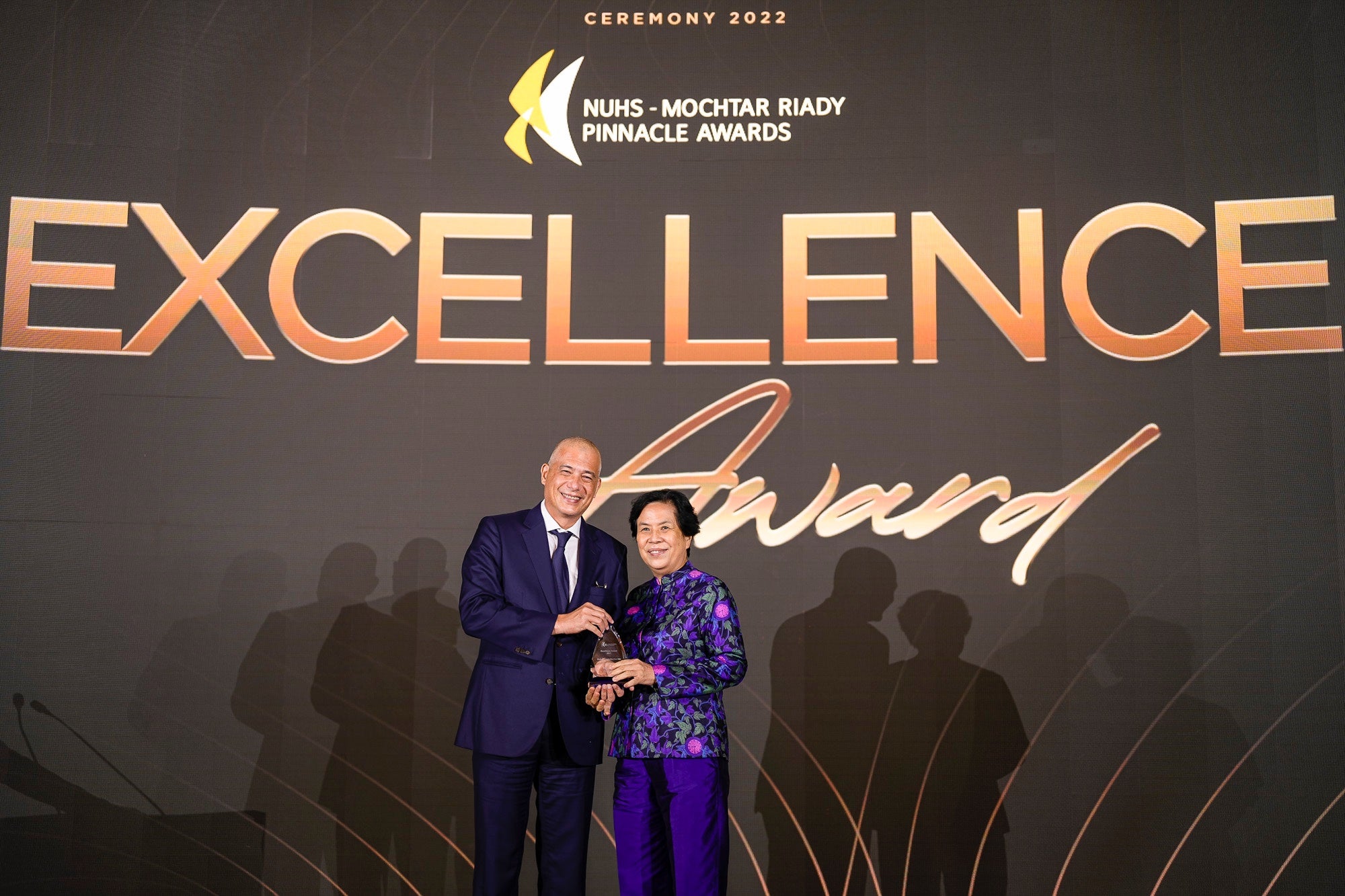 Prof Emily Ang presented with the Excellence Award at the NUHS Tribute ...