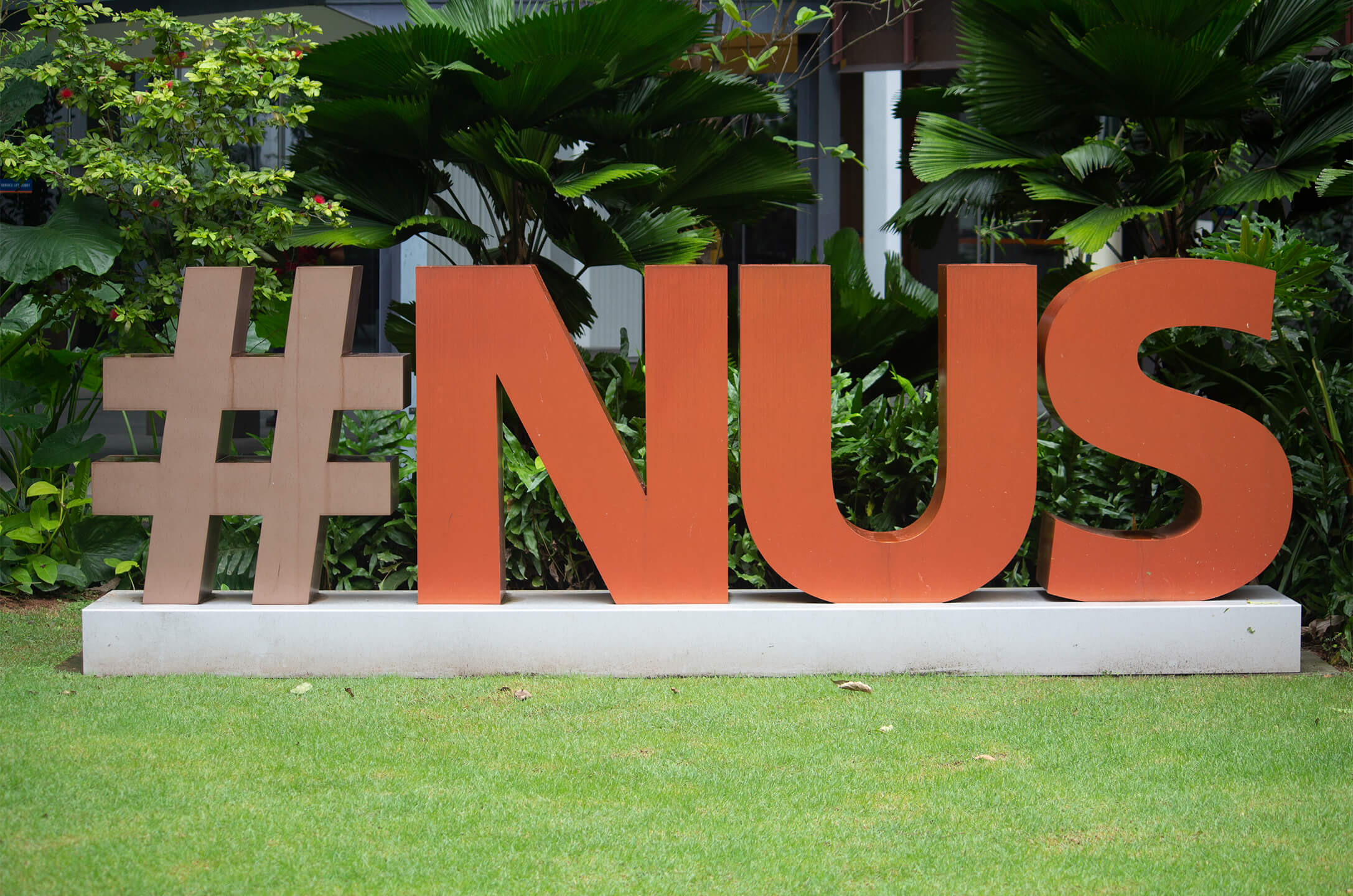 Apply for Doctor of Nursing Practice – NUS Nursin