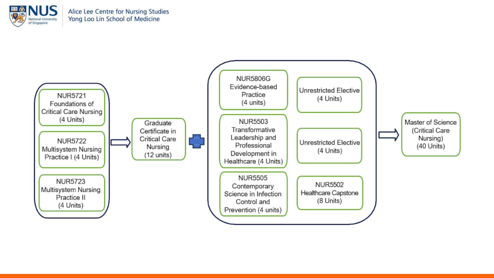 MSc Critical Care Nursing Curriculum – NUS Nursing