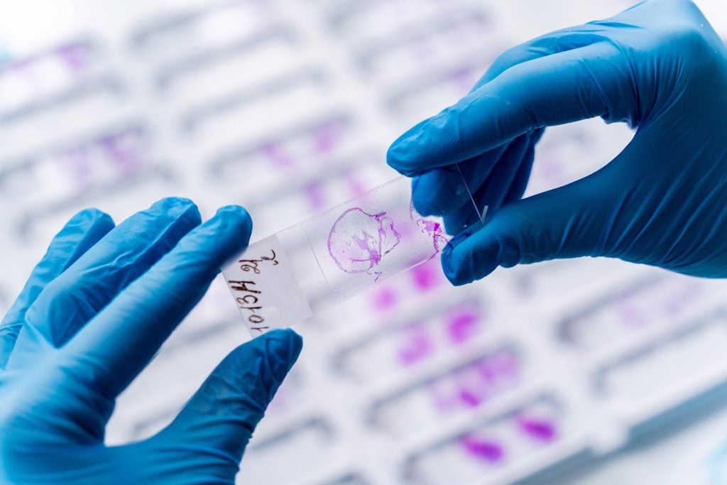 Home - NUS Pathology