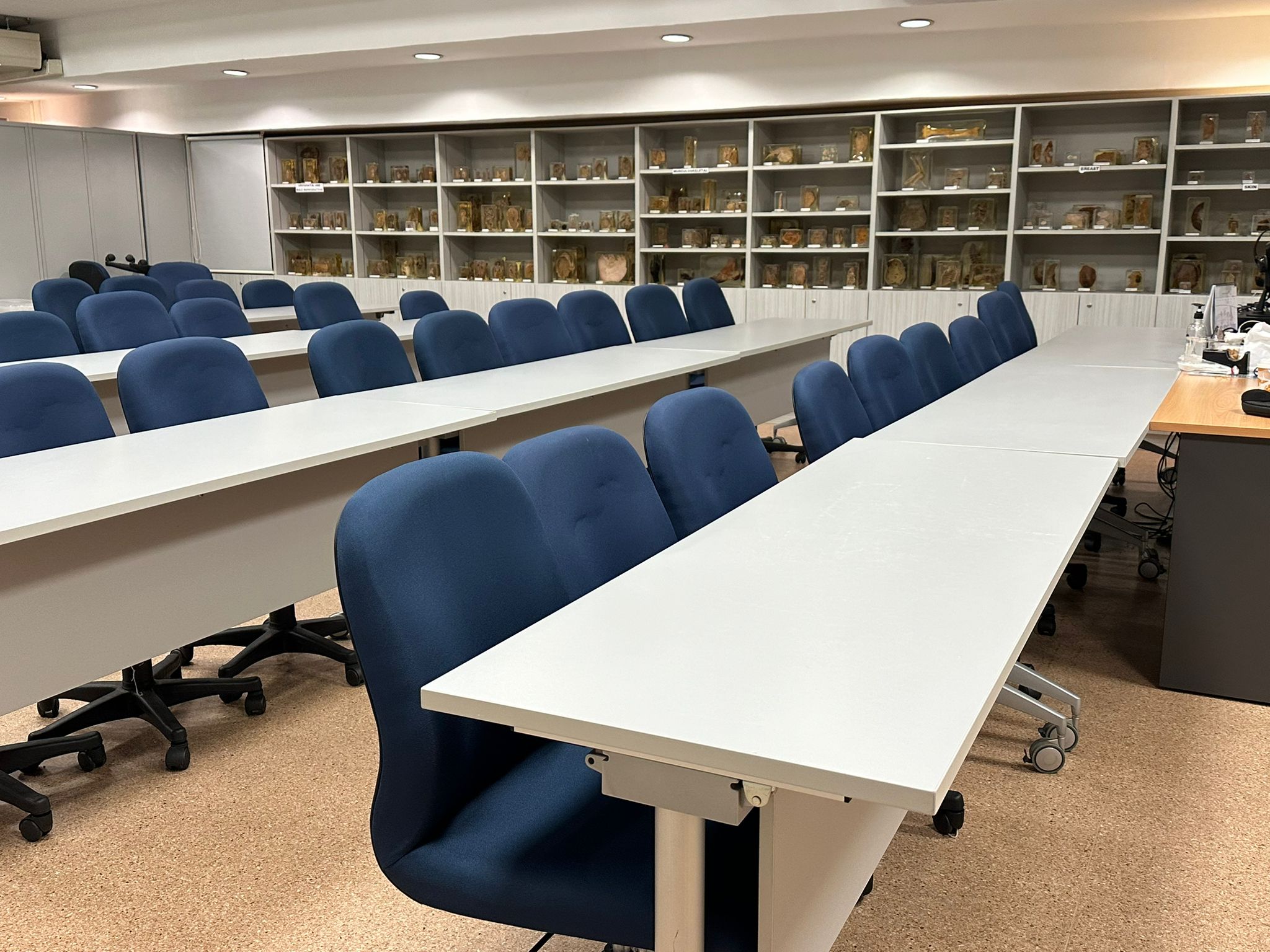 Pathology Museum - NUS Pathology