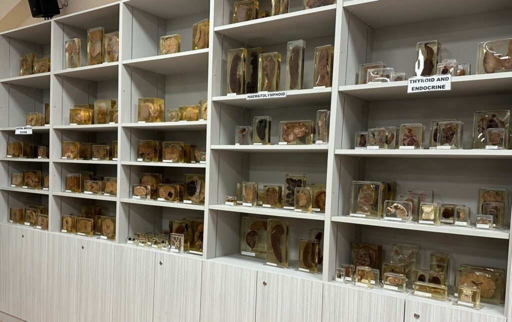 Pathology Museum - NUS Pathology