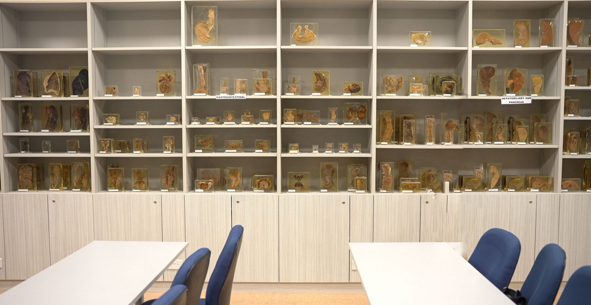Pathology Museum - NUS Pathology