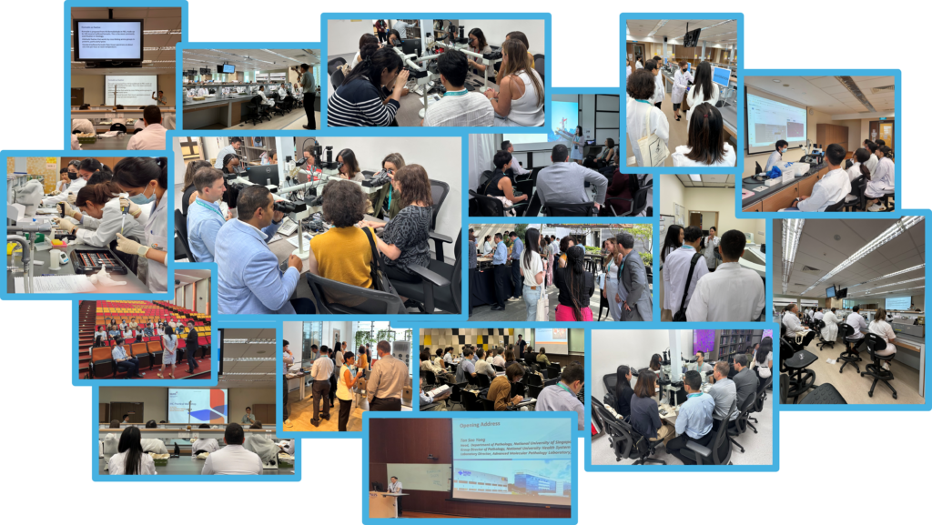 Continuing Education and Training (CET) Course - NUS Pathology