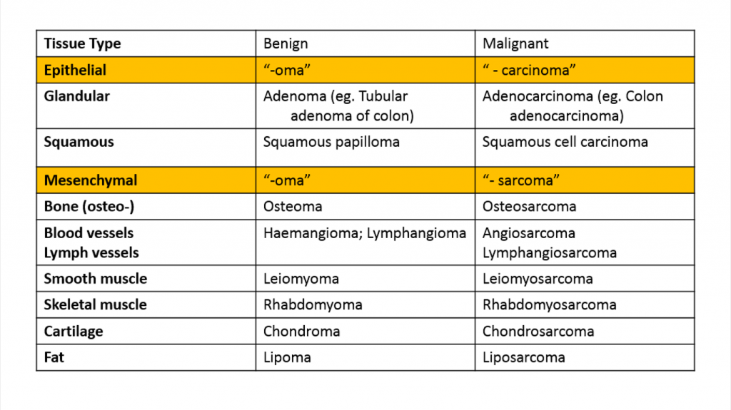 I. What is Neoplasia? – NUS Pathweb :: NUS Pathweb