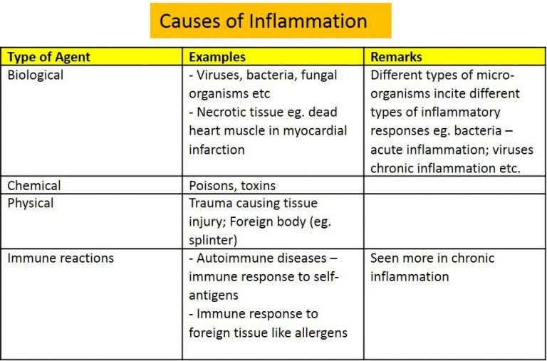 II. What causes inflammation? – NUS Pathweb :: NUS Pathweb