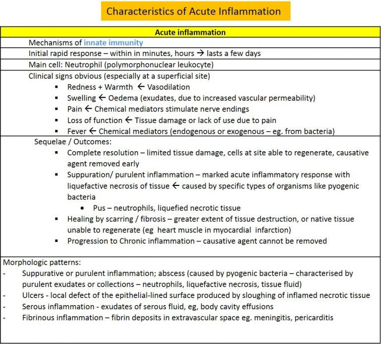 III. What are the types of inflammation? – NUS Pathweb :: NUS Pathweb