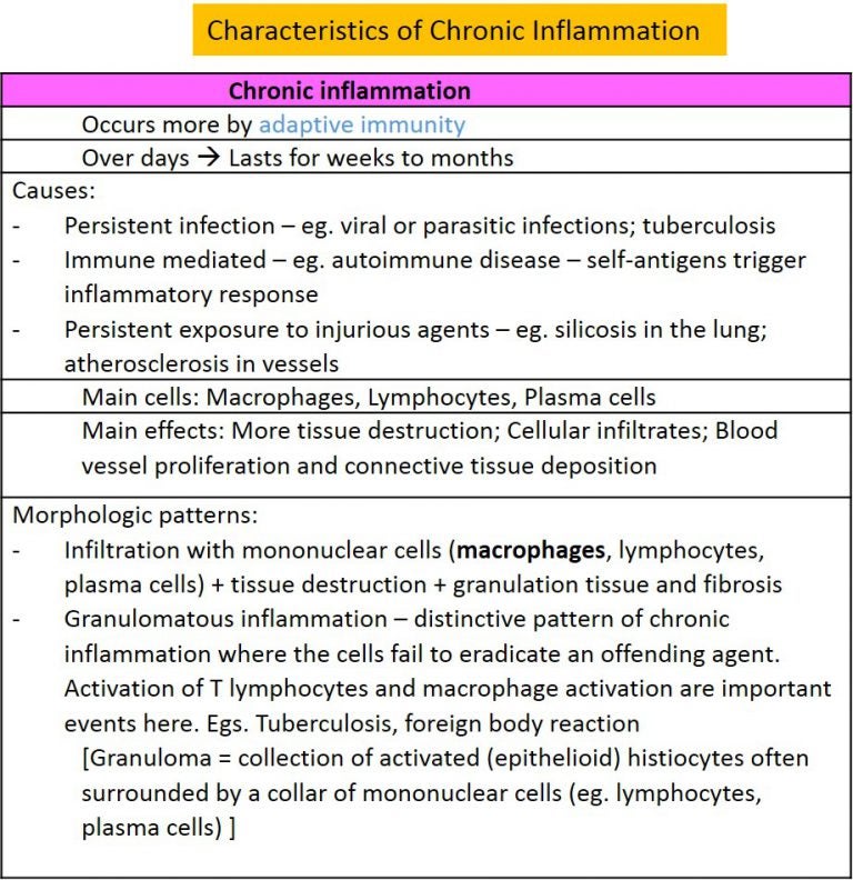 III. What are the types of inflammation? – NUS Pathweb :: NUS Pathweb