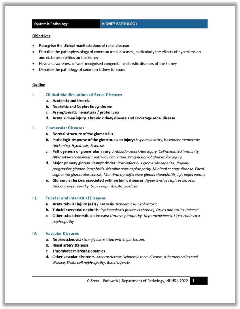 Urogenital System – One Page Summary – NUS Pathweb :: NUS Pathweb