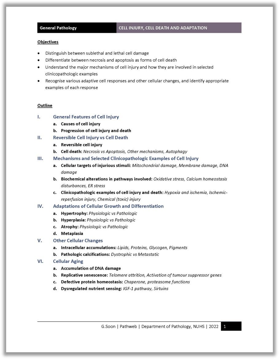 Cell Damage and Death: One Page Summary – NUS Pathweb :: NUS Pathweb
