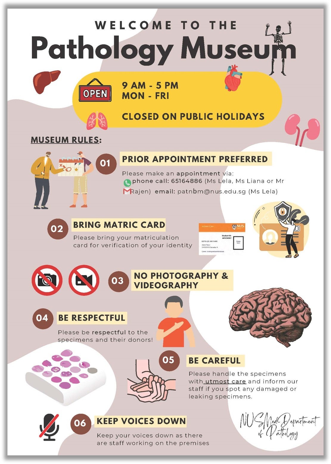 Virtual Pathology Museum – NUS Pathweb :: NUS Pathweb
