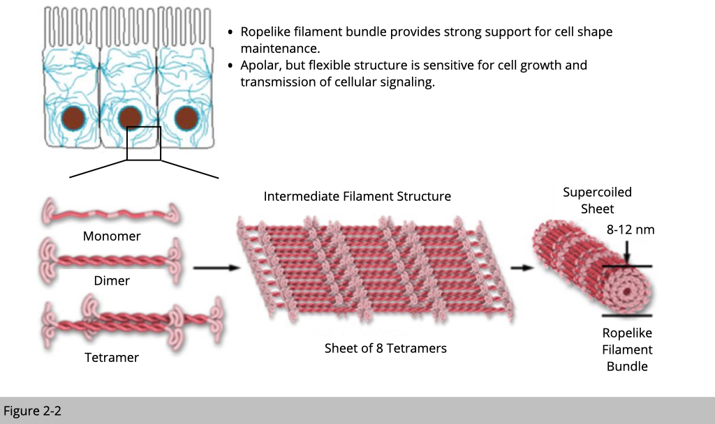 Home [medicine.nus.edu.sg]