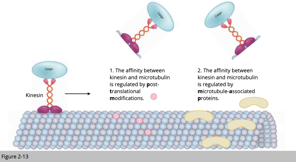 Home [medicine.nus.edu.sg]