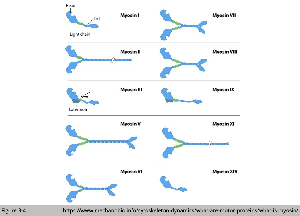 Home [medicine.nus.edu.sg]