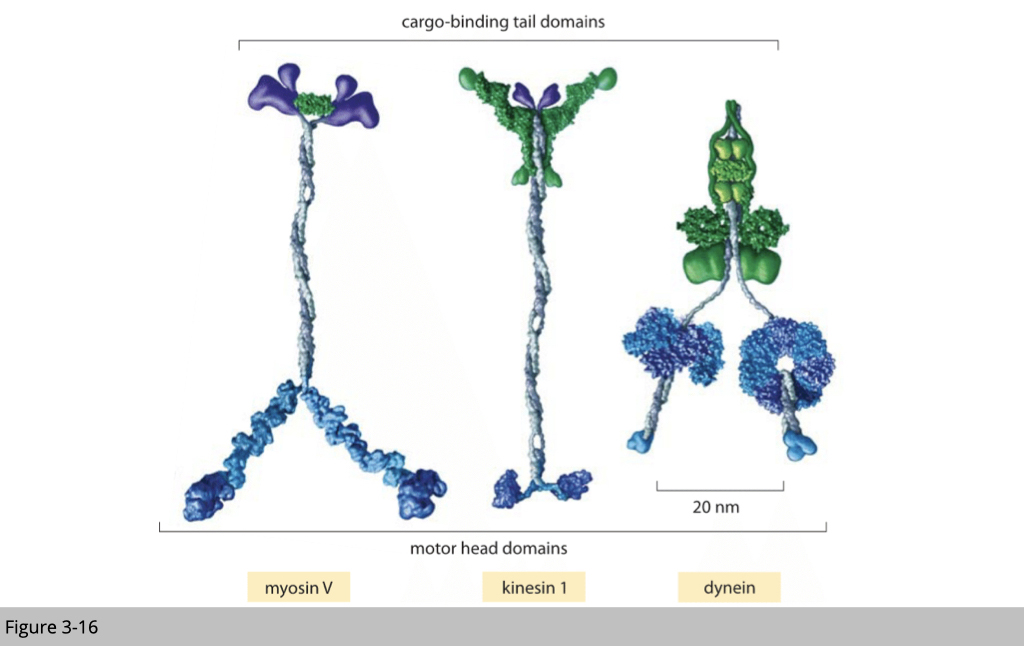Home [medicine.nus.edu.sg]
