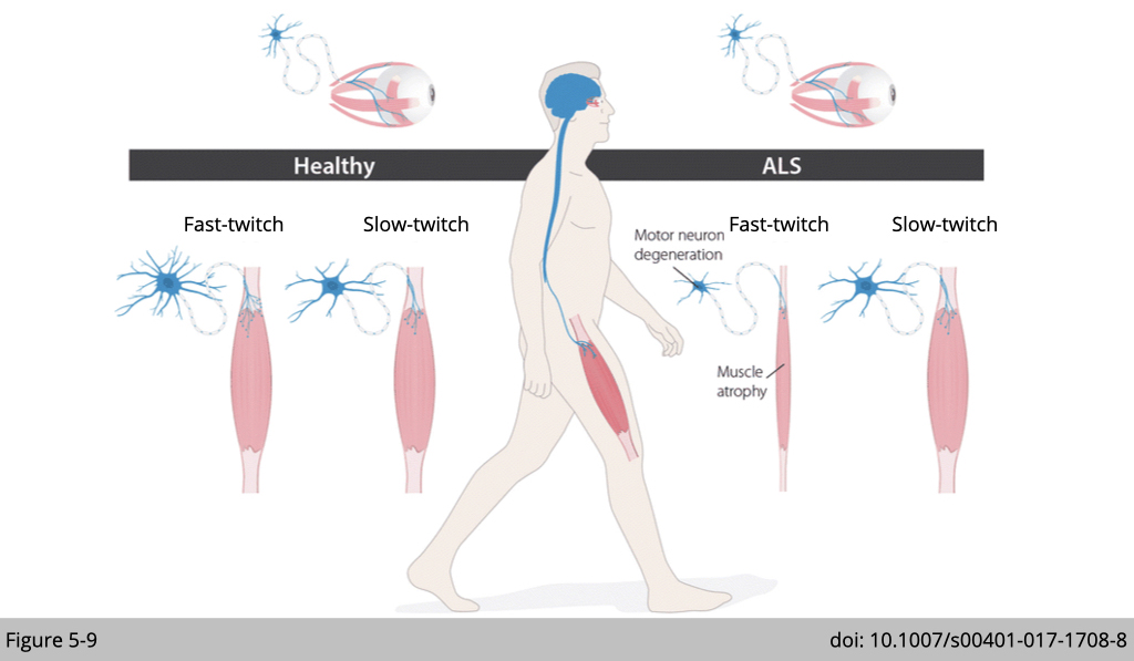 Home [medicine.nus.edu.sg]