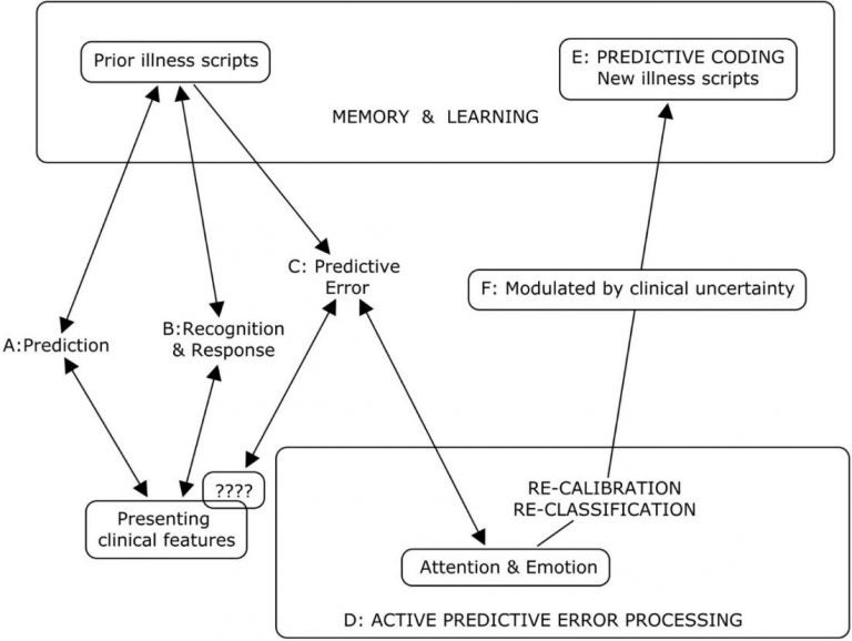 The predictive brain model in diagnostic reasoning - The Asia Pacific ...