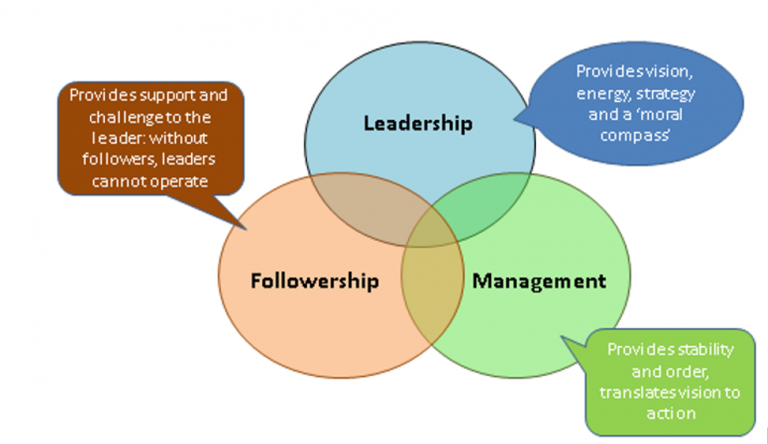 ‘Surviving to thriving’: Leading health professions’ education through ...