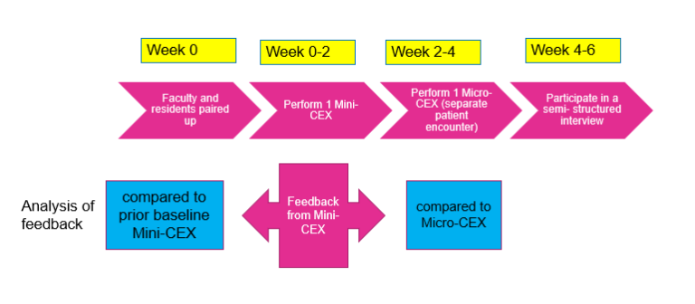Micro CEX vs Mini CEX: Less can be more - The Asia Pacific Scholar ...