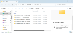 Weasis User Guide - NUS - TMR