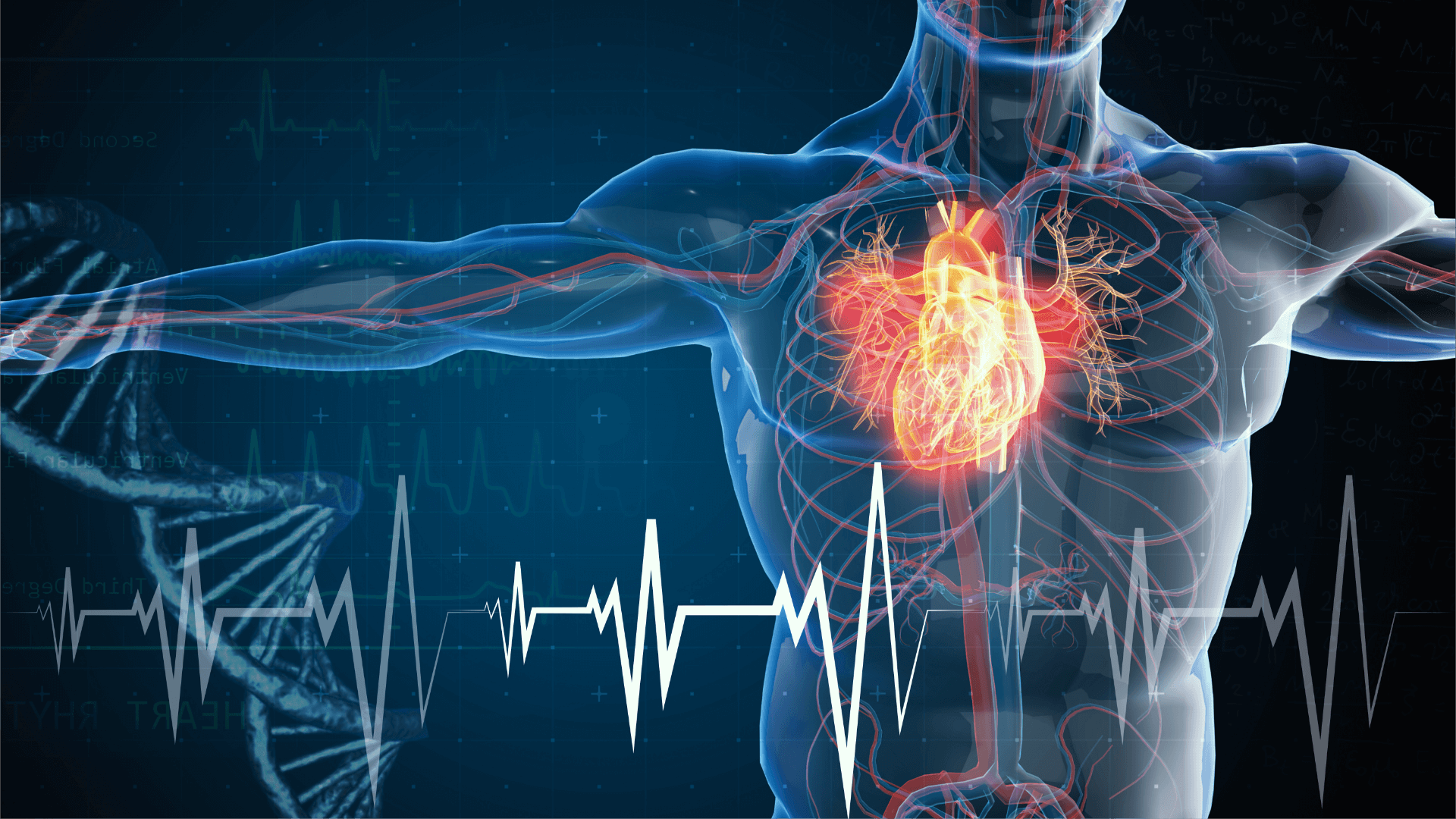 Cardiovascular-Metabolic Basic Science Seminars - Cardiovascular ...