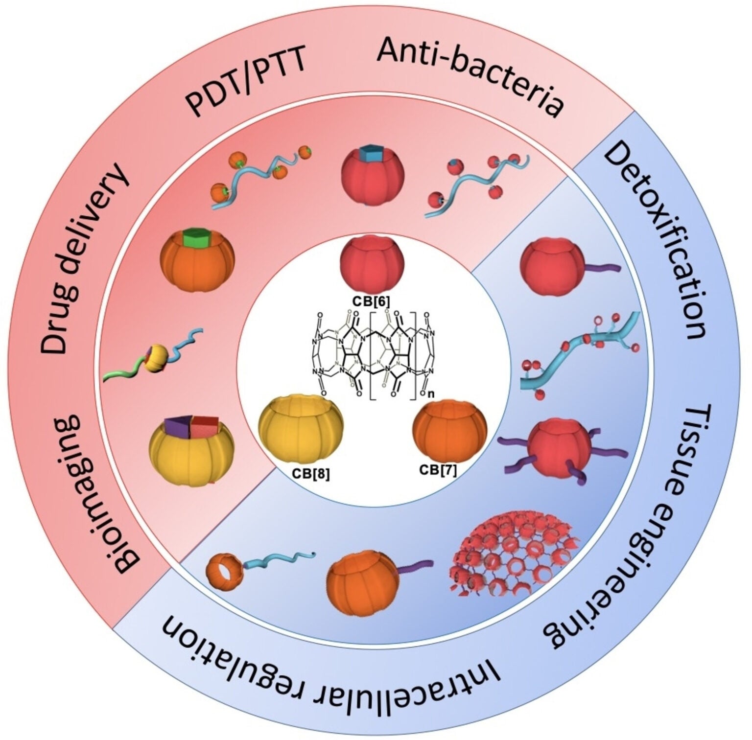 Cucurbituril-based Supramolecular Polymers for Biomedical Applications ...