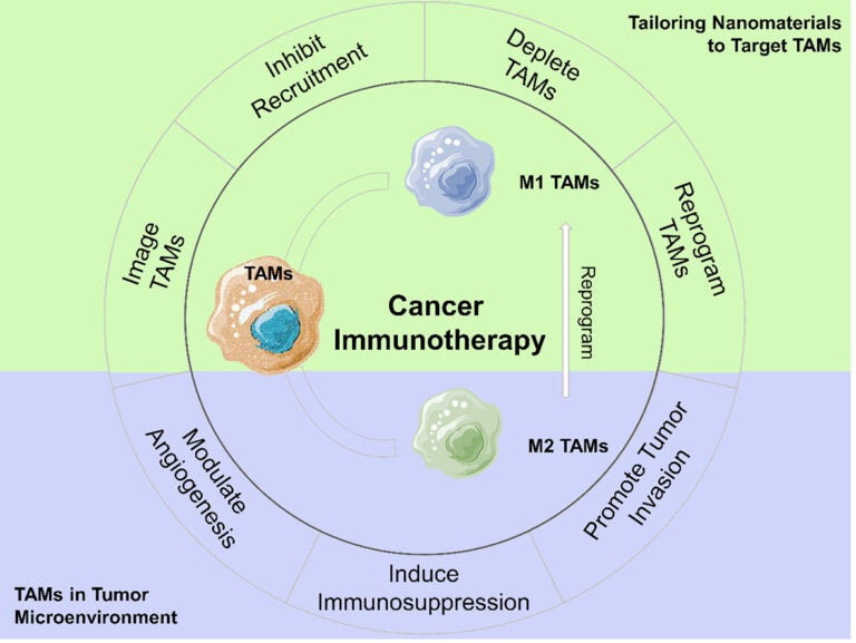 Nanomaterials targeting tumor associated macrophages for cancer immunotherapy - Nanomedicine